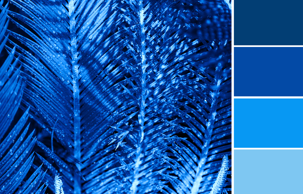 Tons de Azul na Decoração - Home Decoração